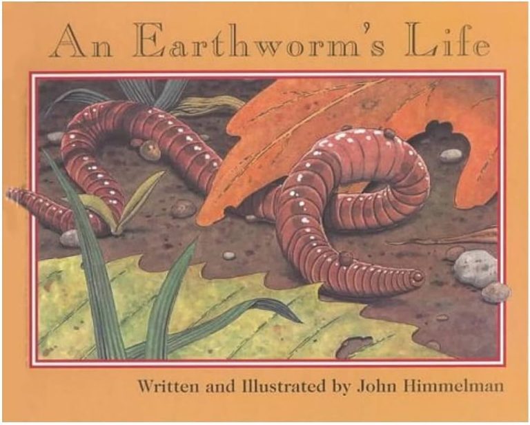 Underground World: "An Earthworm's Life" by John Himmelman ...